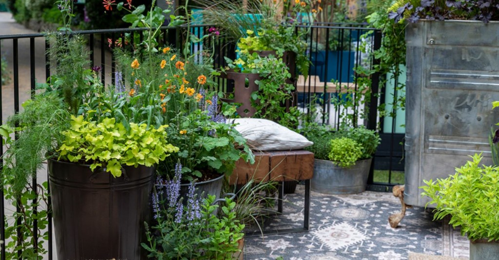 Chelsea Flower Show 2023: Emma Tipping wins Gold : The English ...