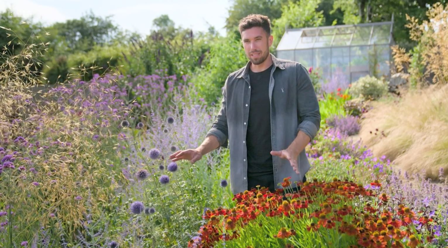 EGS ALUMNI Henry Agg’s coastal garden on BBC Gardeners World : The ...